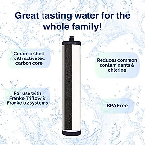 Doulton M15 UltraCarb Ceramic Drinking Water Filter Candle for Franke 02, Franke Triflow, Filterflow, All 1st Gen Steel and 2nd Gen Plastic Housings ¦ FRX01 ¦ 10 inch ¦ M15 Thread ¦ W9223021 (1 Pack)