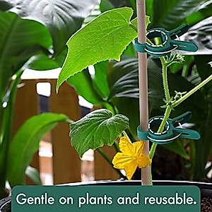Gardzen 48 Pcs Garden Plant Clips, Plant Support Clips for Securing Plant Stems, Flowers or Climbing Vines to Tomato Cages, Trellis and Plant Support