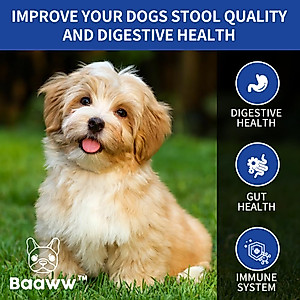 Baaww Probiotics for Dogs, Support Gut Health, Diarrhea, Seasonal Allergies, Paw Licking, Digestive Health Enzymes, 90 Pork Chews Allergy & Immune Supplement for Dogs Anal Gland Soft Chew Treats