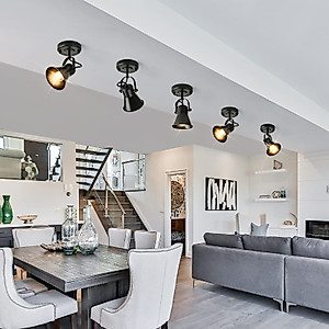 SEEBLEN Track Light Modern Ceiling Spot Lighting Indoor, Adjustable Wall Mount Accent Light,for Bedroom Living Room Hallway Kitchen Painting(2 Pack)