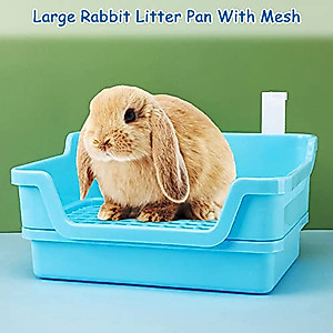 PINVNBY Extra Large Rabbit Litter Box Small Animal Potty Trainer Huge Bunny Litter Pan Plastic Pet Corner Toilet with Mash for Adult Guinea Pigs Chinchillas Ferrets (Blue)