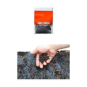 ADA Aqua Soil Amazonia Ver 2 (9L)