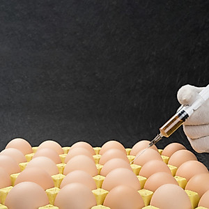 20 Pack 10ml Industrial Sterile Syringes with 18Ga 1.5 Inch, Plastic Disposable Syringe for Scientific Labs, Liquids Refilling and Measuring