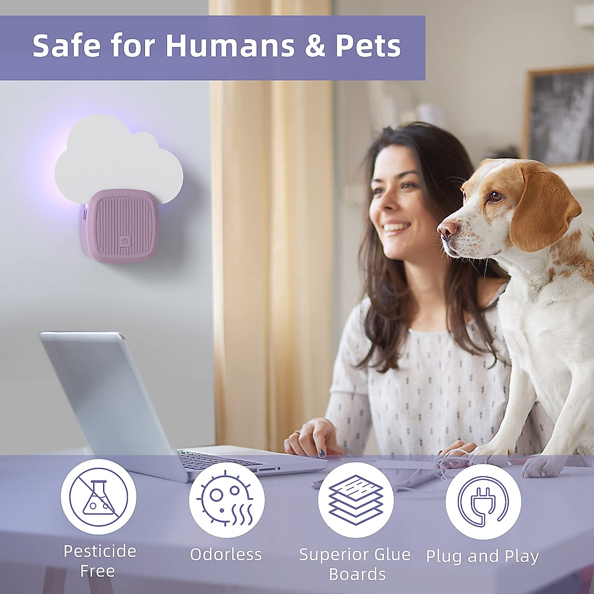 Careland Plug in Fly Traps for Indoors Electric Flying Insect Trap Gnat Killer for Home - Catch Fruit Flies, Mosquitoes, Gnats, Moths & Other Insects with UV Light and Sticky Board (Purple 2pack)