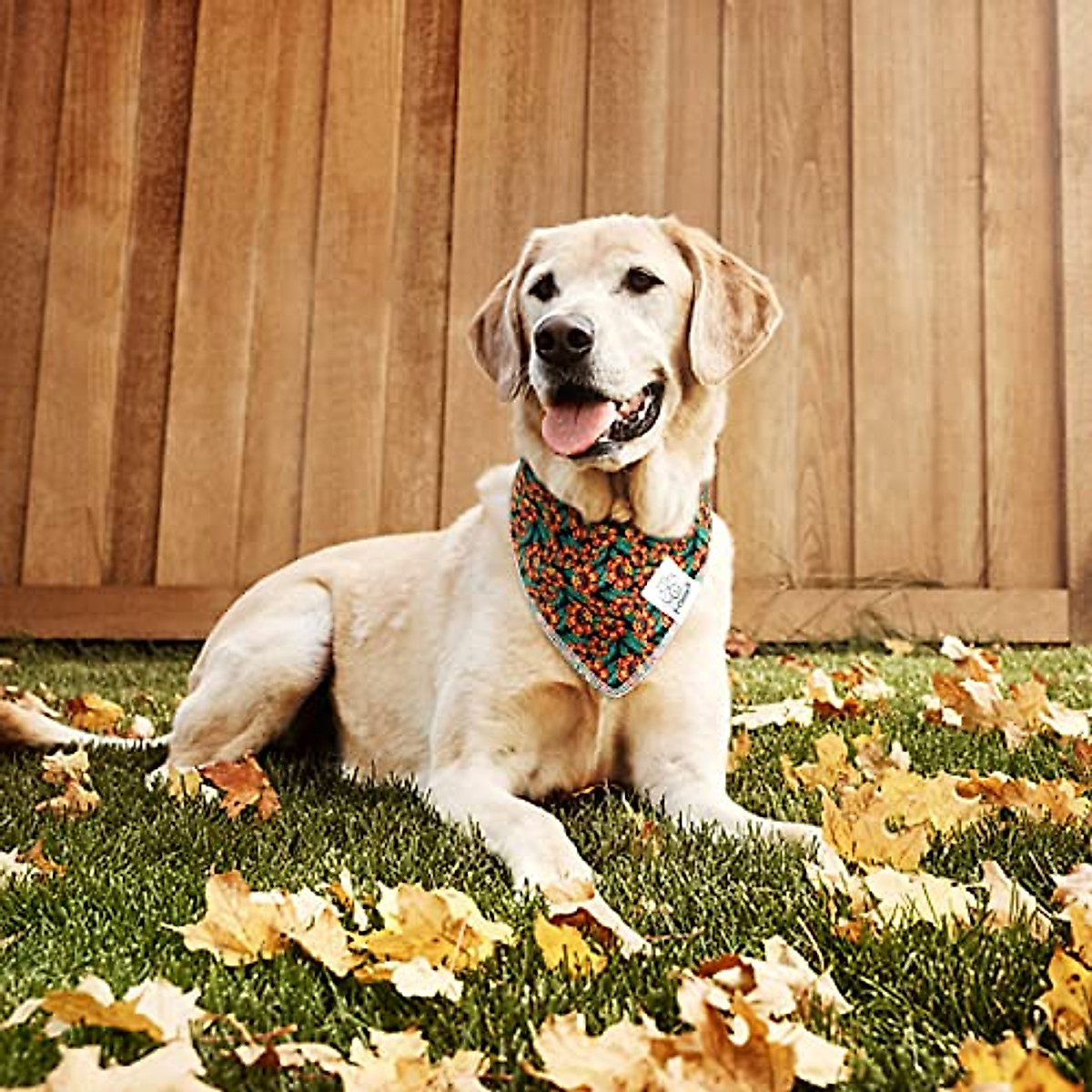 E-Clover Fall Dog Bandana & Matching Scrunchie Set Floral Dog Scarf Bibs with Bow Hair Tie for Small Dogs Puppy Owner Orange Green Gift