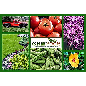 Organic Kelp Fertilizer by GS Plant Foods - Omri Listed(1 Gallon) - Liquid Kelp Concentrate for Gardens, Lawns & Soil Yields 800+ gallons