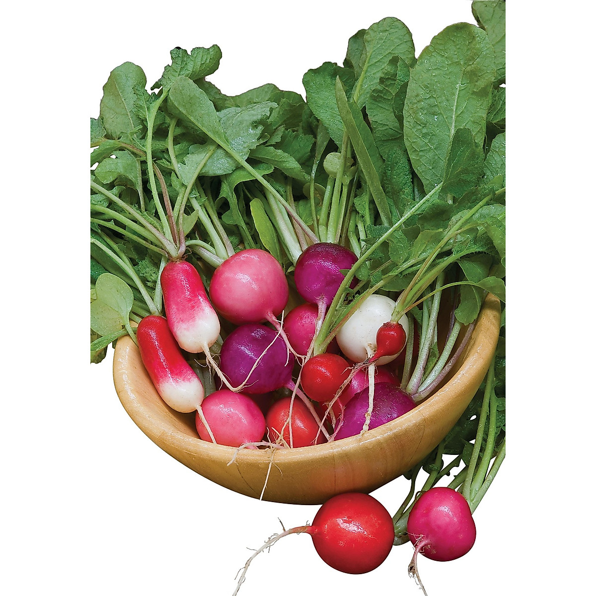 Burpee Cook's Custom Blend Radish Seeds 575 seeds