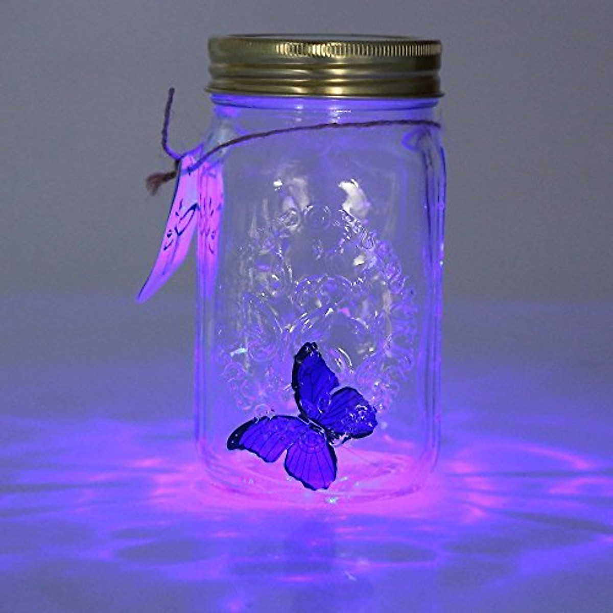 Fangfang LED Lamp Romantic Glass Animated Butterfly Jar Gift Decoration (Blue)