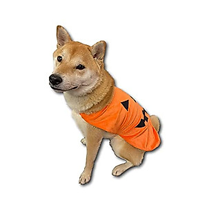ComfyCamper Pumpkin Dog Costume - X Large Medium Small Shepherd French Lab Retrieve Pet Cosplay Halloween Costumes (X-Large)