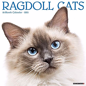 Ragdoll Cats 2021 Wall Calendar