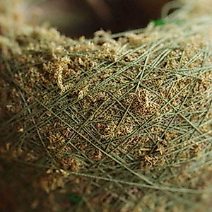 Generic 5pcs Moss Ball Planter Japanese Style Natural Kokedama Flower Vase Flower Pot Creative Sphagnum Flower Holder Potted Hydrating Bonsai Plants Containers for Home Wedding Decor