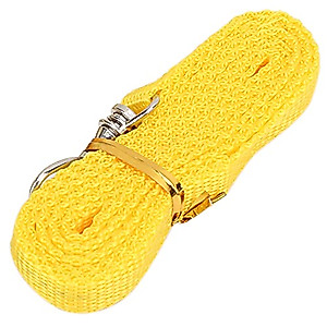 Luroze Guinea Pig Harness, Small Dog Harness Comfortable Cute Adjustable for Ferrets for Rabbits for Guinea Pigs for Chinchillas(S Number, Yellow Pineapple)