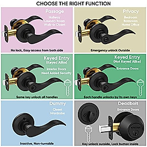 TICONN Black Door Handle, Traditional Wave Style Matte Black Reversible Door Lever for Interior Doors and Closet (Privacy Lock, 5-Pack)