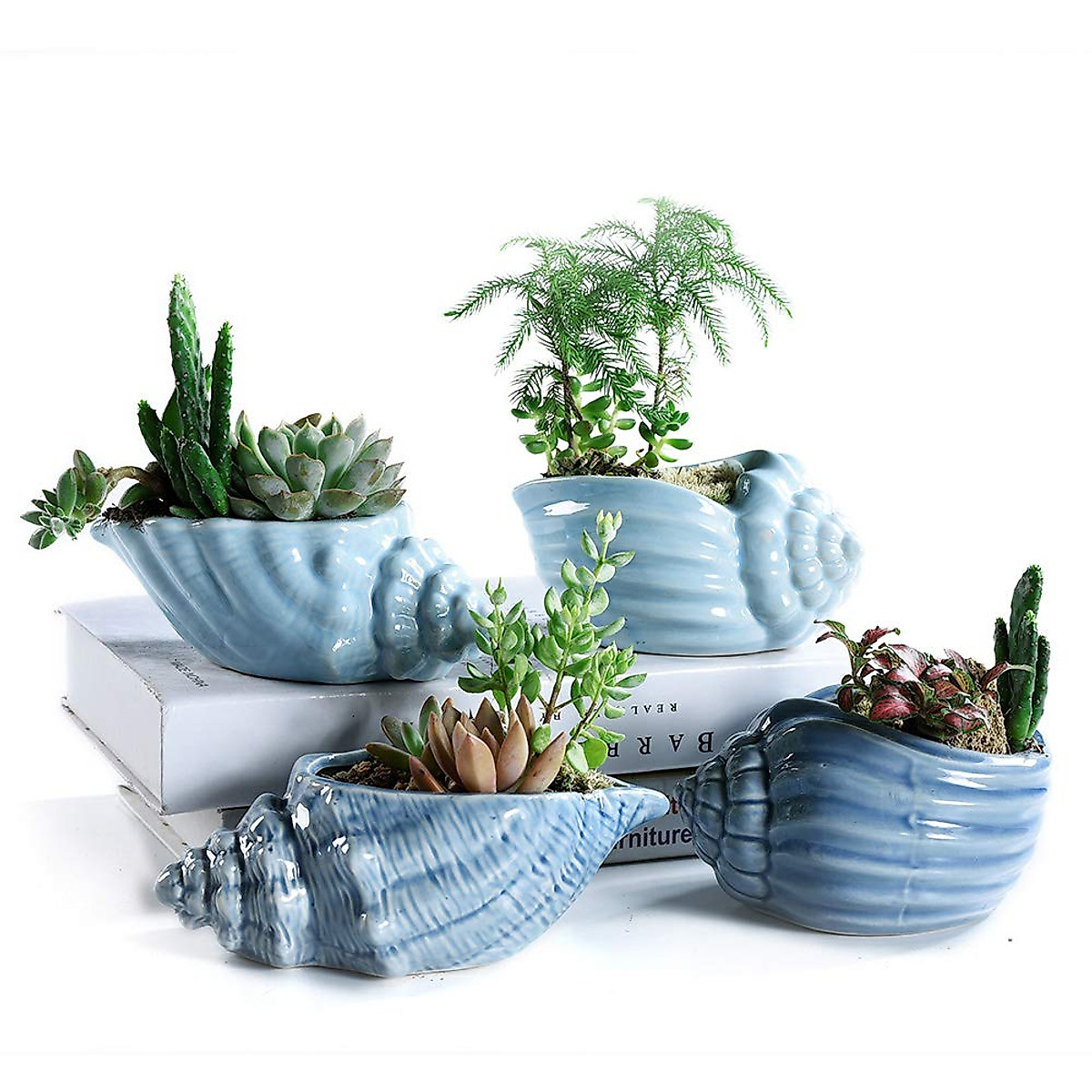 SUN-E 5.5 Inch Blue Conch Ocean Series Ceramic Base Serial Set Succulent Plant Pot Cactus Plant Pot Flower Pot Container Planter with Drainage Hole Gift Idea 4 in Set(Plants Not Included)
