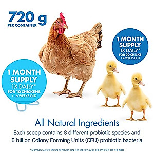 HealthyGut Probiotics for Chickens & Poultry, All-Natural Digestive System Dietary Supplement (90 Scoops)