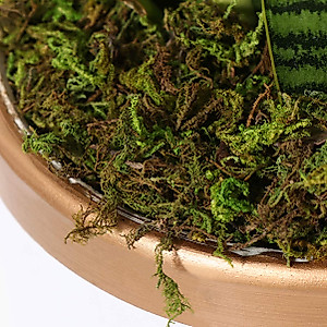 BESPORTBLE Moss Lifelike Artificial Green Moss for Flower Plant Garden Lawn Crafts Home Decoration
