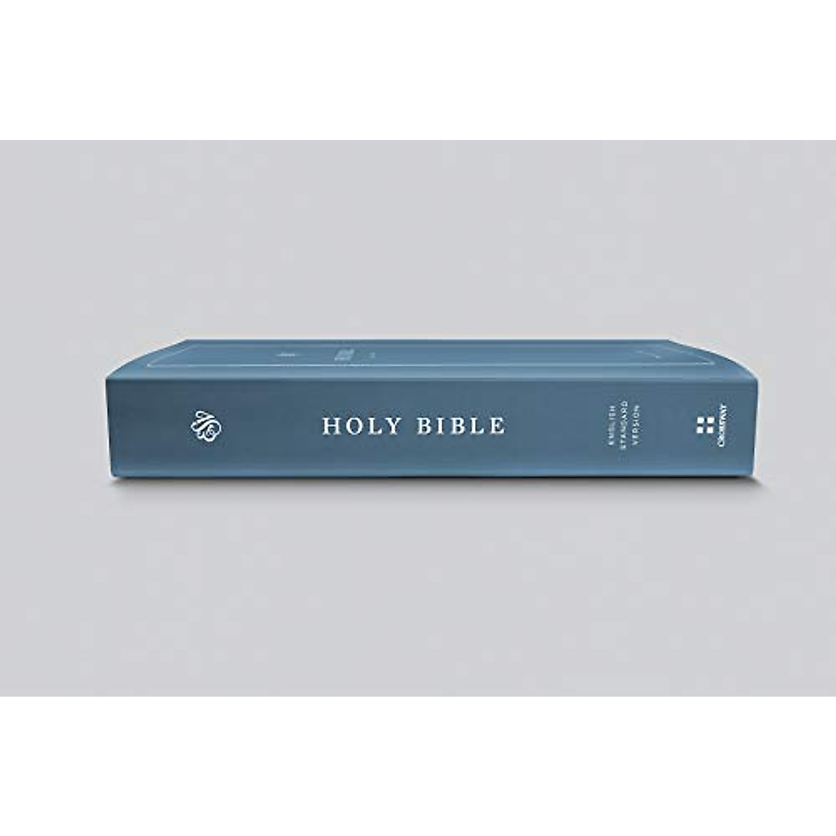 ESV Economy Bible, Giant Print