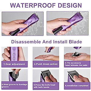 Professional Animal Pet Dog Cat and Horse Cordless Hair Clipper Grooming Kit with 5 in 1 Blade Low Noise & High Power Rechargeable Cordless Pet Grooming Clipper for Thick Heavy Coats -Purple