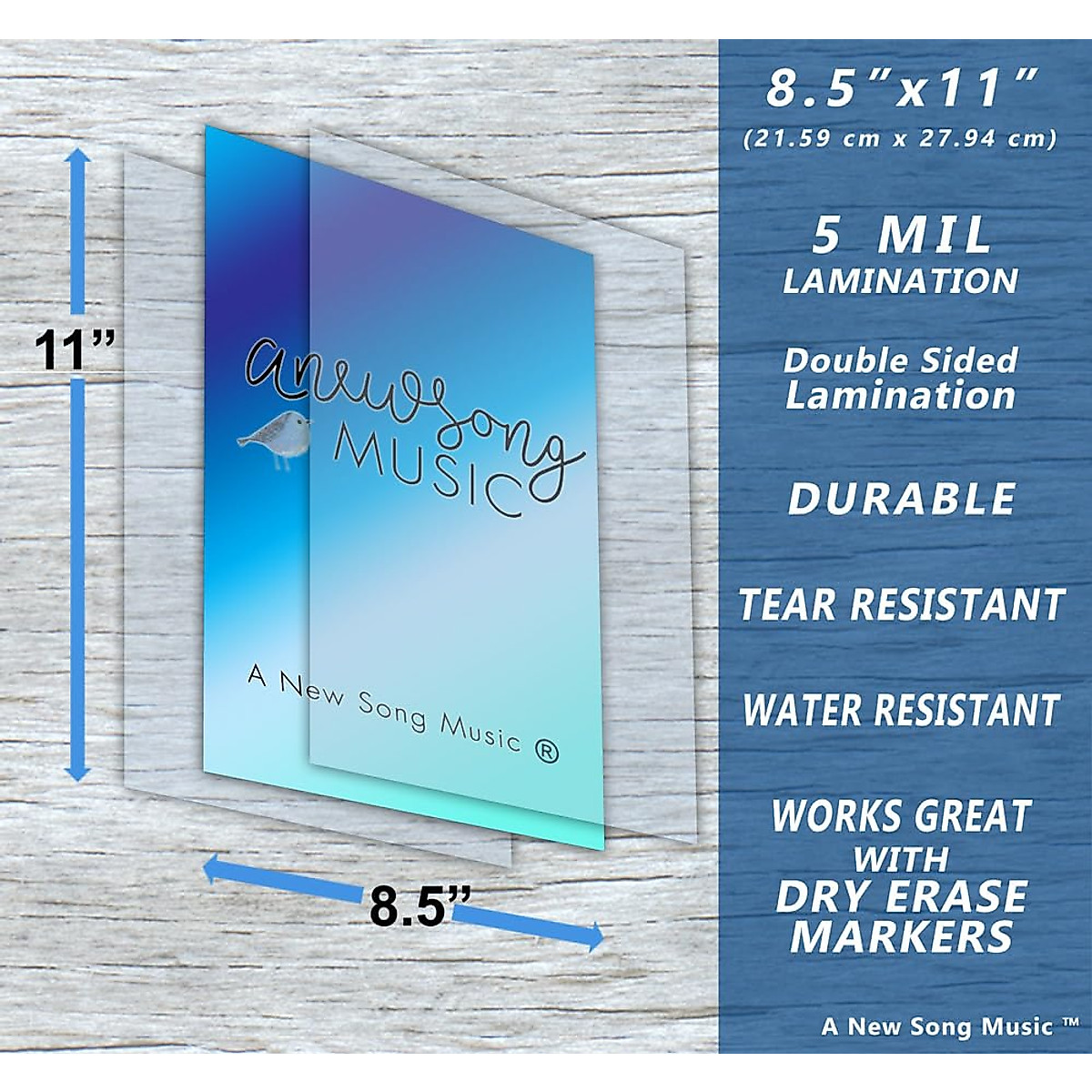 Laminated 4 String Bass Fretboard Notes Chart Nashville Number System & Circle of 5ths Easy Instructional Poster for Beginner for Notebook - A New Song Music 8.5 x 11