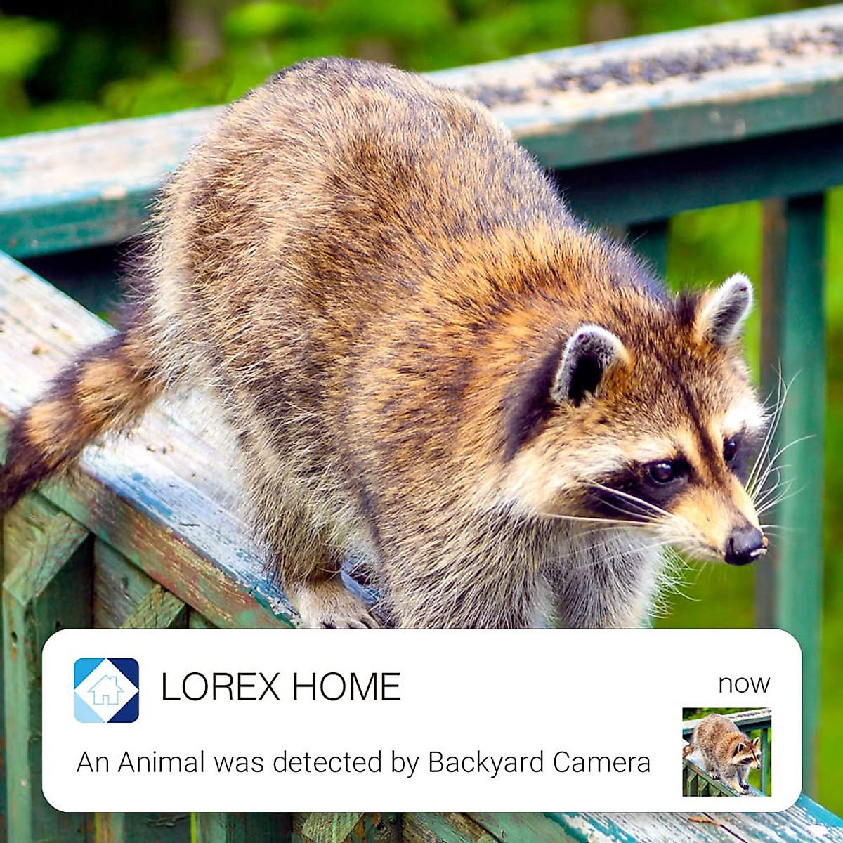 Lorex Fusion 4K 16-Channel (8 Wired and 8 Wi-Fi) 2TB Wired NVR System with 4 Bullet Cameras Featuring Smart Security Lighting