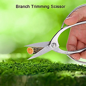 GLOGLOW Bonsai Scissors, 7.5 Inch Stainless Steel Root Branch Pruning Shear for Garden Arranging Flowers, Trimming Plants