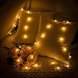 VVPONMEIQS LED String Lights 32.8FT 100LED Waterproof Twinkle Fairy String Lights with Remote 8 Flashing Modes Warm White for Home Wall Garden Decorations (Size : 5M)