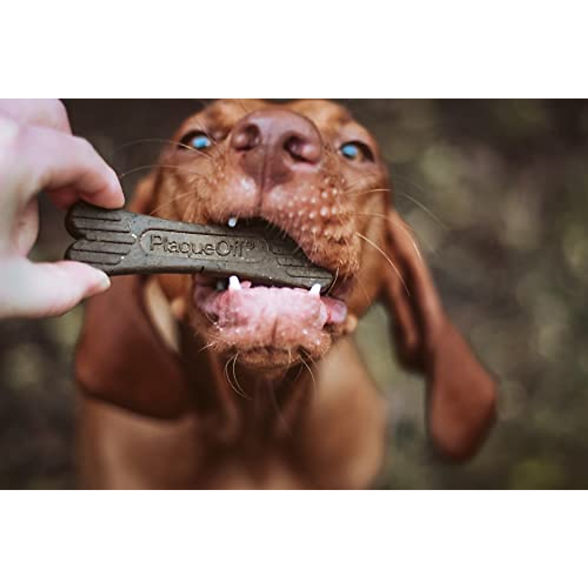 ProDen PlaqueOff System Dental Care Bones for Dogs - Vegetable 17 oz