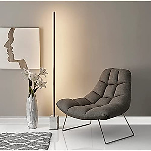 Adesso 3607-22 Felix LED Wall Washer, Brushed Steel