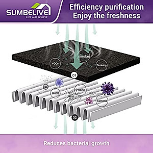 Sumbelive D360 Replacement Filter D3 for Winix D360 Air Purifier,Item Number 1712-0101-02. 2 True HEPA Filter + 8 Carbon pre-Filters