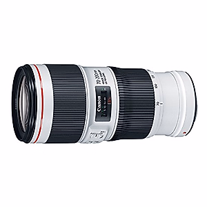 Canon EF 70-200mm f/4L IS II USM Lens for Canon Digital SLR Cameras, White - 2309C002