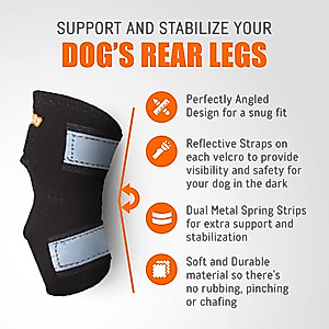 NeoAlly® - Rear Leg Hock Brace with Metal Spring Strips, Dog Leg Brace for Rear Leg, Hock and Ankle Support, Rear Dog Leg Brace for Smaller Dogs, Short Version, Medium, 1 Pair