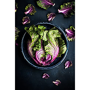 Halden Garden Lettuce Romaine Green Organic (Grows Well Everywhere)