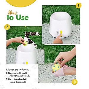 THE THOUGHTS OF FUN CO. Automatic Dog Ball Launcher/Thrower- Dog Fetch Machine for Small to Medium Sized Dogs, Great Exercise for Dogs with 6 Latex Balls, Dual Power Supply