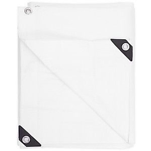 Kotap 8 x 20 Ft. Heavy-Duty Protection/Coverage Tarp, Superior Weave for Greater Longevity 8-mil, Multi-Use, Waterproof, White, 1-Pack (TRW-0820)