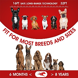 2024 BarkBuster Dog Bark Deterrent Device: Behavior Corrector | Just Point & Click | Bright LED Flashlight | Indoor/Outdoor Use | Shock/Bark Collar Alternative | Long-Range Ultrasonic | Training Aid