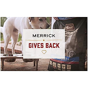 Merrick Backcountry Grain Free Gluten Free Premium Wet Cat Food, Chicken and Trout Recipe Cuts With Gravy - (Pack of 24) 3 oz. Pouches