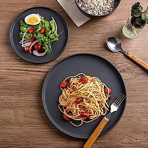 AmorArc Stoneware Dinner Plates Set of 4, 10.5 Inch Reactive Matte Glaze Ceramic Plates Set, Modern Dinnerware Dish set for Kitchen, Microwave, Dishwasher Safe, Scratch Resistant-Matte Charcoal Gray