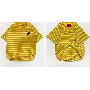 Dog and Owner Matching T-Shirts Family Clothes for Dog Pitbull Dog Clothes Shirt for PaPa and Mama- Mom and Pet Shirt are Sold Separately (Pet-S, Yellow)
