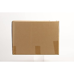 CGOLDENWALL 300g High-Speed Electric Grain Grinder Mill Stainless Steel for Commercial Spice Grinder Pulverizer for Dried Cereals Grains Spices Herbs 110V Gift for Mom/Wife