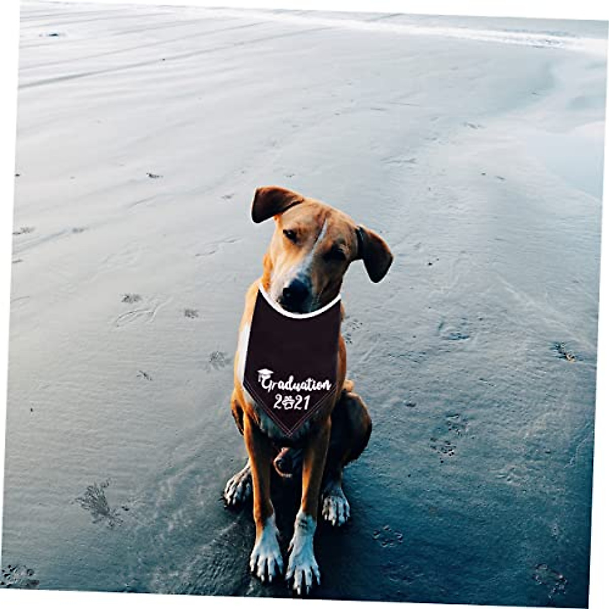 GLSTOY Yellow Scarf 4 Pcs Doctor Dog Hat Black Bibs Puppy Outfits Cat Black Hat Puppy Bandanas Bibs Pets Party Dress Party Supplies Cloth Black Outfit Costume Accessory