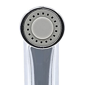 Danco 88760 Universal Fit Sink Spray Head, Chrome