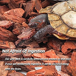 BNOSDM Reptile Bark Bedding Lizard Natural Wood Granule Substrate Clean Breeding and Bedding Flooring for Lizard Bearded Dragon Gecko Chameleon Tortoise