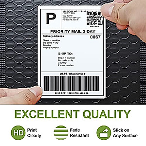 Anylabel Compatible 4" x 6" Direct Thermal Label Replacement for DYMO 1744907 Postage Address Shipping Compatible with Dymo 4XL, Rollo & Zebra Printer Permanent Adhesive (12 Rolls, 220 Labels/Roll)