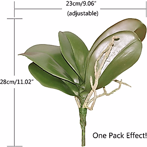 Qianmo Artificial Orchid Leaf Plants PU Latex Real Touch Faux Leaves Arrangement Home Décor Office Garden Bonsai Decoration Flowers (Big Size (3 Bunches))