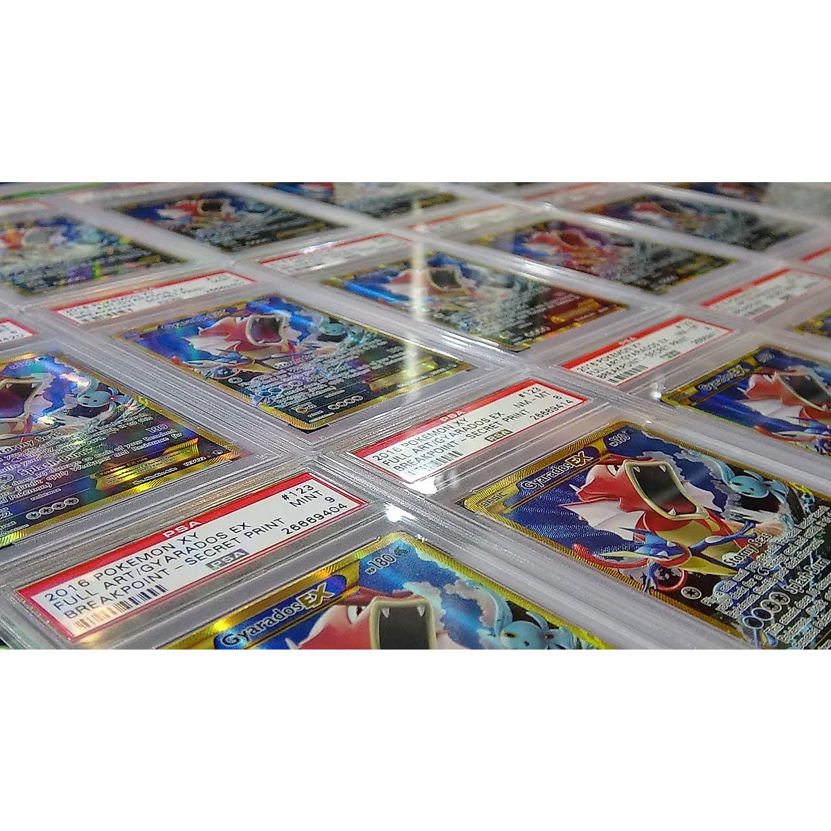 Pokemon TCG: Graded Mystery Collection Box - Contains 1 Graded Card, 20 Cards Including 1 First Edition, and 1 Factory Sealed Booster Pack