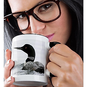 3dRose Coffee Mug, Size - 15oz - Bird, Common loon, Gavia immer, Haliburton, Ontario-CN08 PCL0004 - Paul Colangelo Birds - funny coffee cup gift