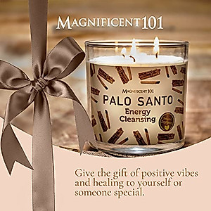 Magnificent 101 PALO Santo Glass Candle 14oz