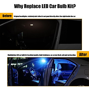 zvsay 24 PCS Interior Car Lights Bulbs, T10 31MM 42MM Festoon Bulbs, Dome Light LED Car Bulb Kit Set, LED Replacement Bulbs for Car Dome Map Door Courtesy License Plate Lights (Blue)