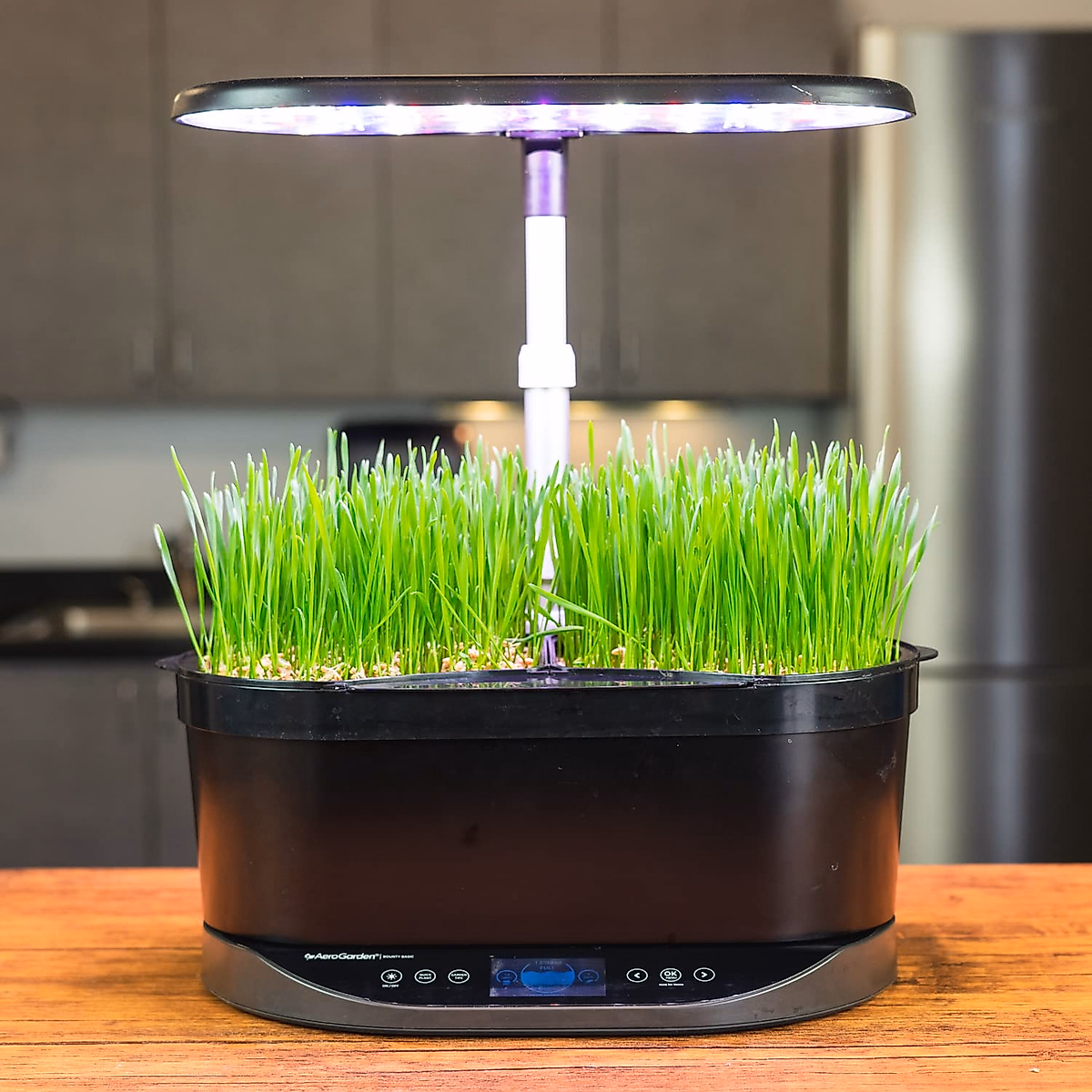 AeroGarden MicroGreens Kit for Bounty Gardens - Includes Seeds, Tray, and AeroFelt