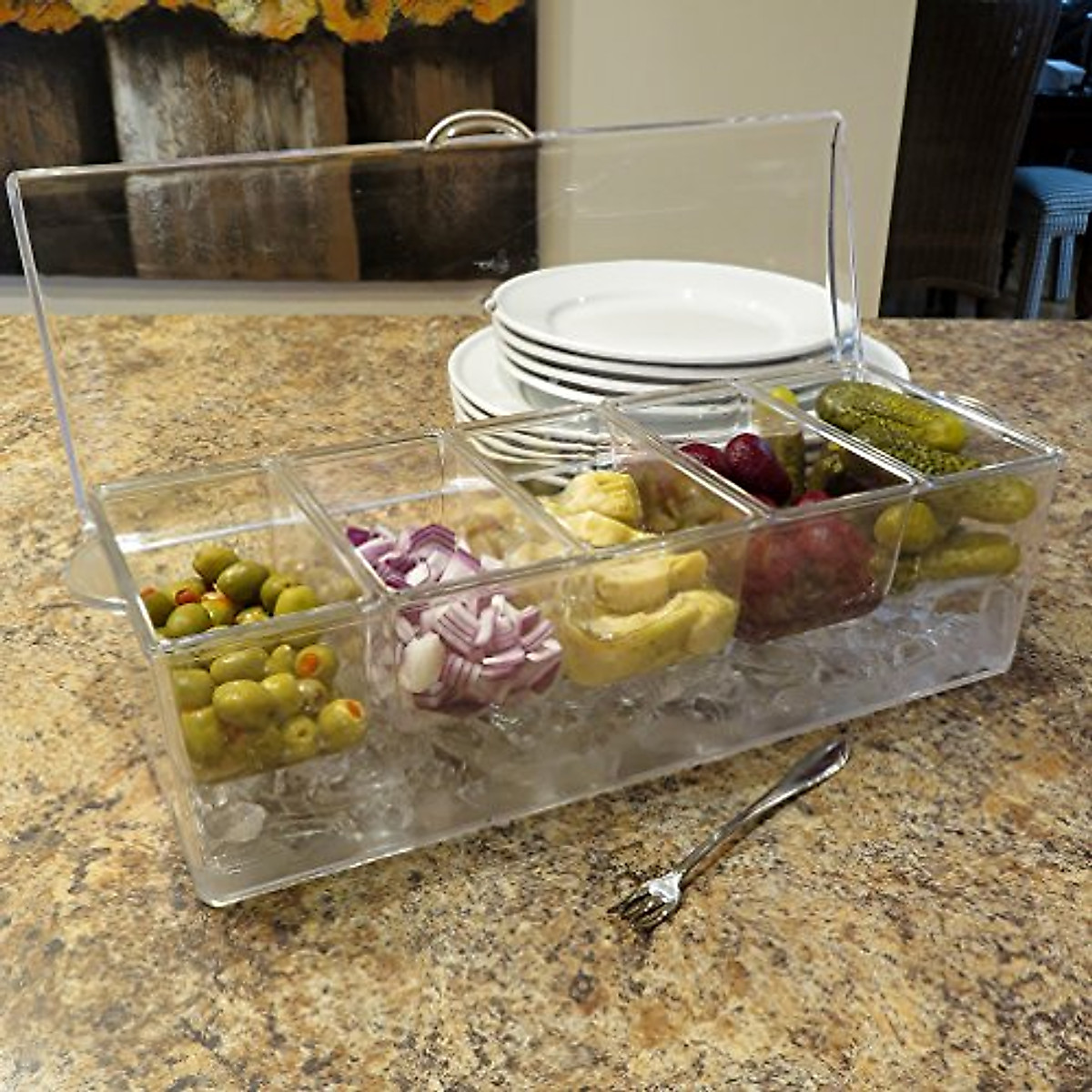 Evelots Ice Chilled Condiment Tray-5 Removable Compartments-Lid-2 Cup Containers